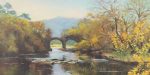 Old Weir Bridge | Dinis Cottage | Meeting of the Waters | Killarney